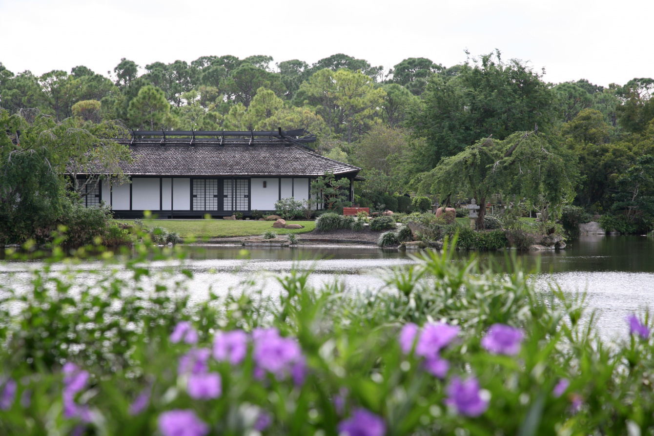 Art After Dark / What's the Story: Morikami Museum and Japanese Gardens ...