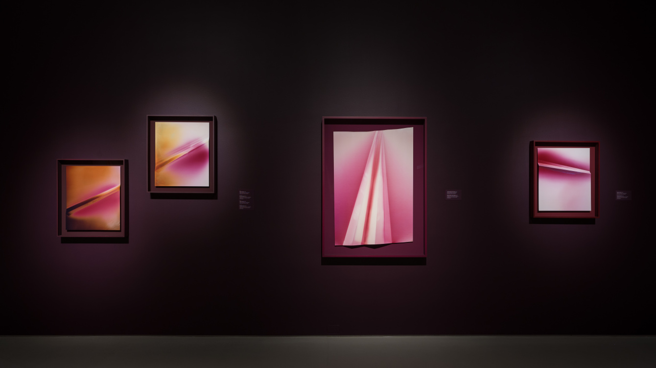 certain silence | Norton Museum of Art