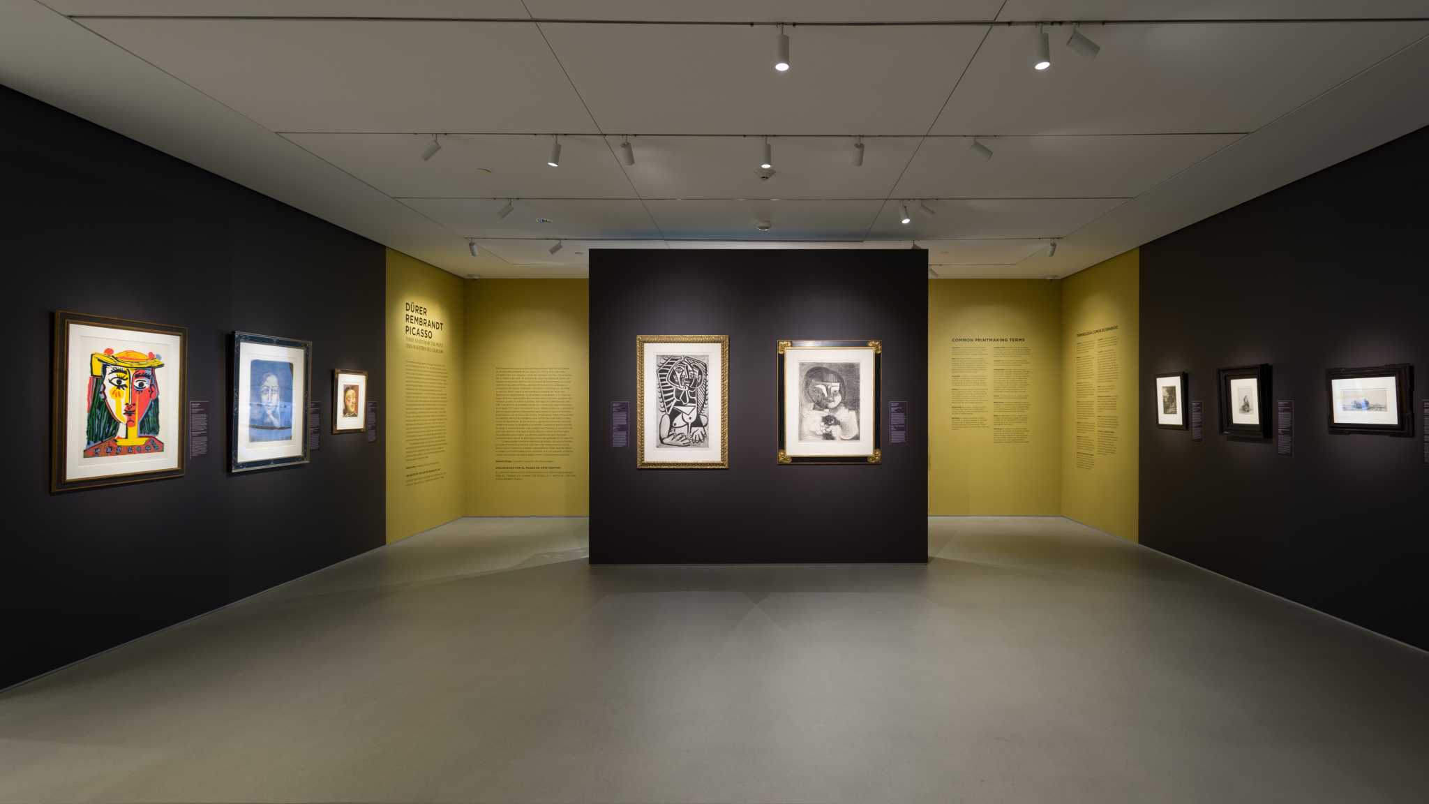 Member Insights / Master Printmakers | Norton Museum of Art